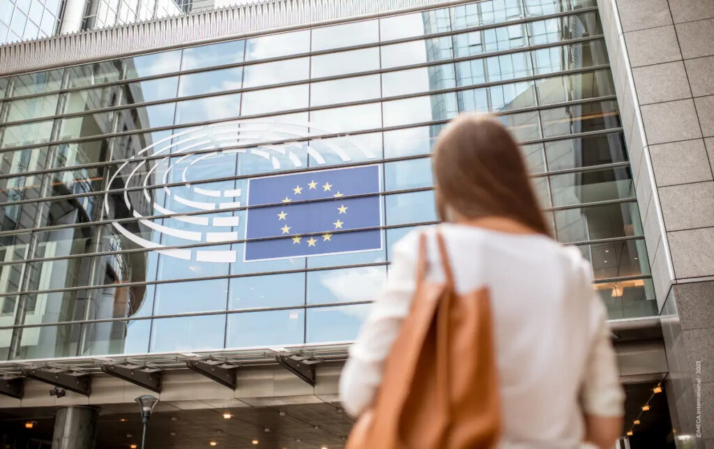 The four main principles of DORA Regulation: A Blueprint for Financial ...